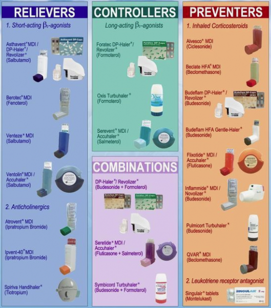 L'asthme | Médecine intégrée