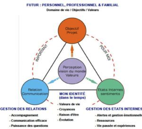 La Programmation Neuro-Linguistique (PNL) | Médecine intégrée