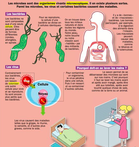 Infectiologie (Sémiologie Chap.10) | Médecine intégrée
